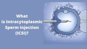 What is Intracytoplasmic Sperm Injection (ICSI)?